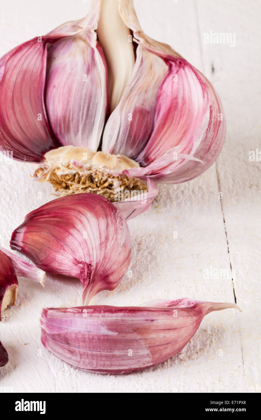 Fresh uncooked garlic bulb with loose cloves with one clove cut through ...