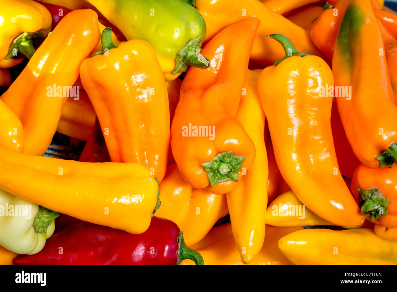 Many colorful peppers including red and yellow Stock Photo - Alamy