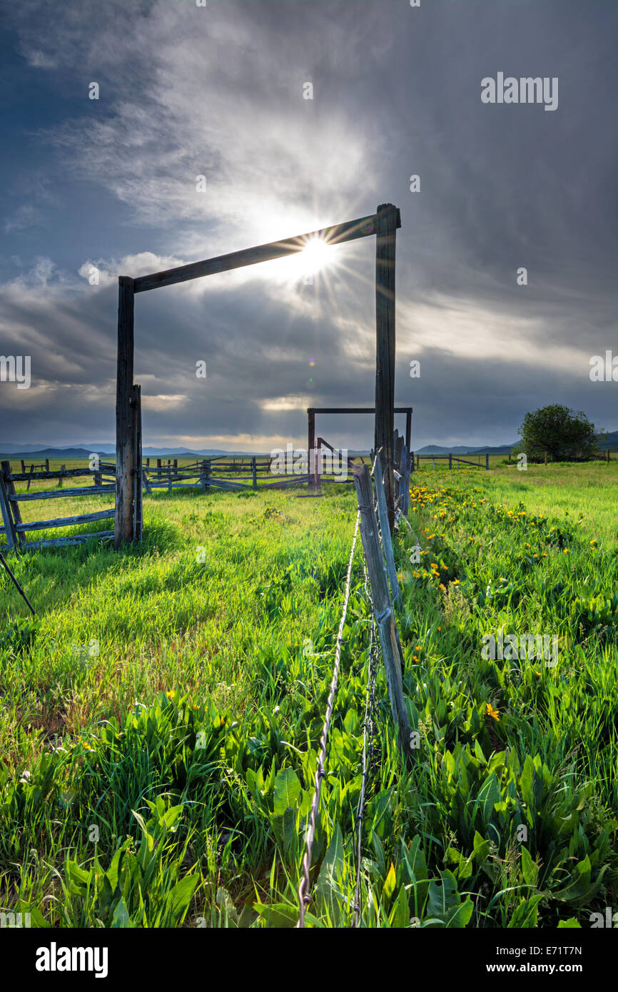 Old corral hi-res stock photography and images - Alamy