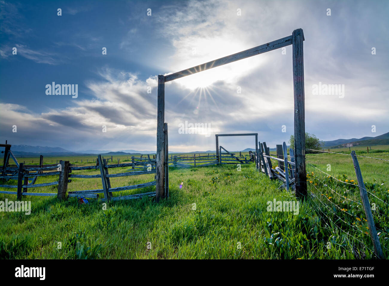 Morning sun star at a farms corral Stock Photo - Alamy