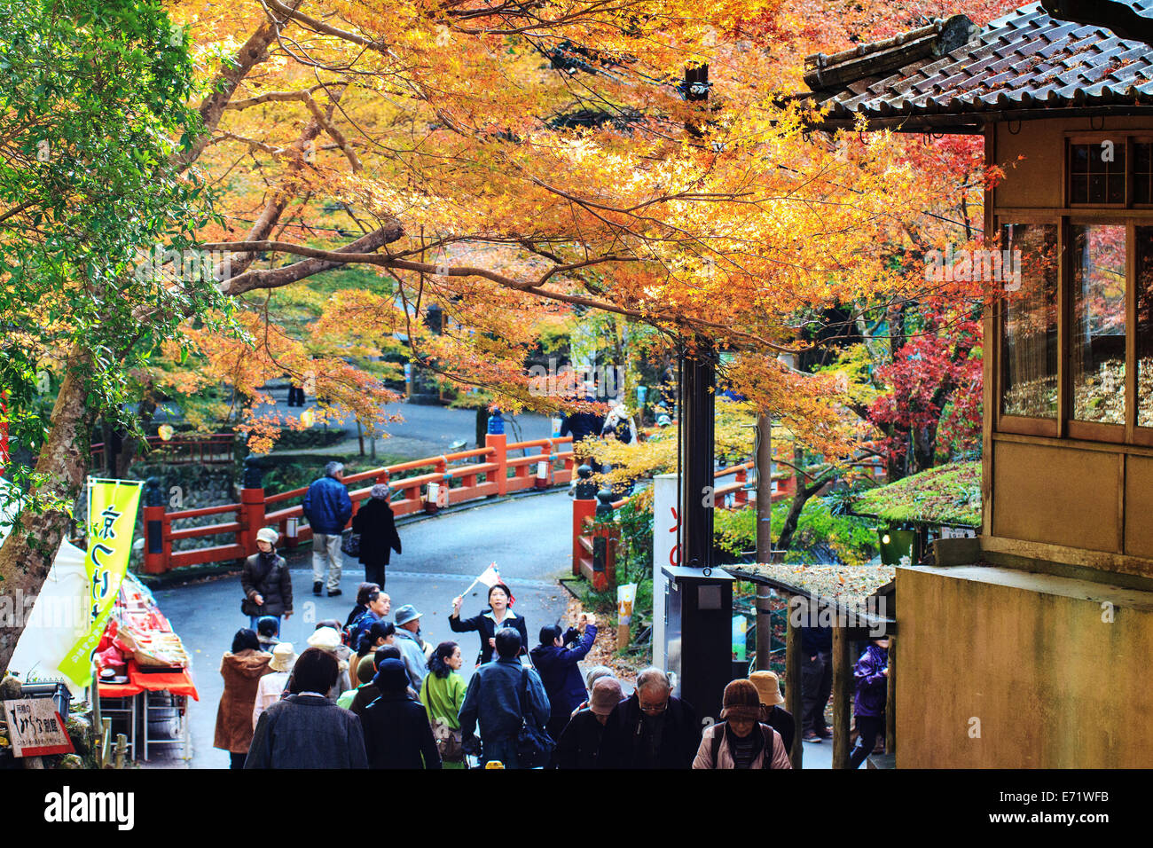 Kyoto, Japan - November 20, 2013: Jingo-ji is a Buddhist temple in ...