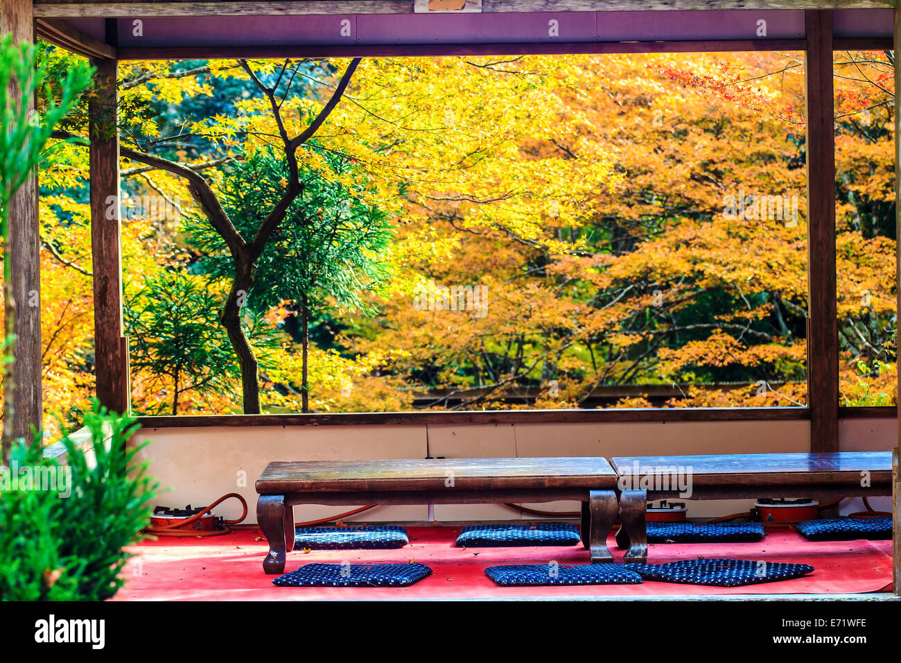 Kyoto, Japan - November 20, 2013: Jingo-ji is a Buddhist temple in ...