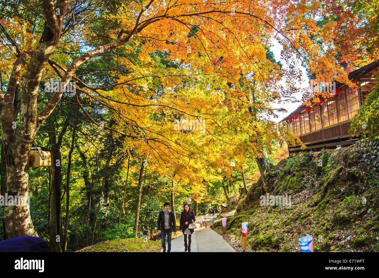 Kyoto, Japan - November 20, 2013: Jingo-ji is a Buddhist temple in ...