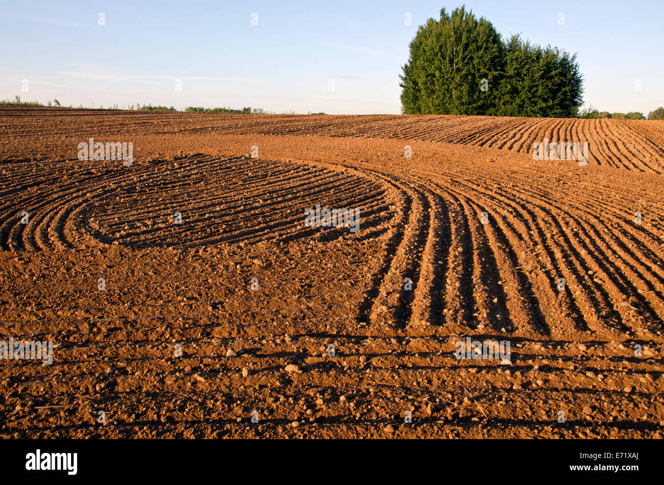 cultivated farm field agriculture landscape. Earth soil texture Stock ...