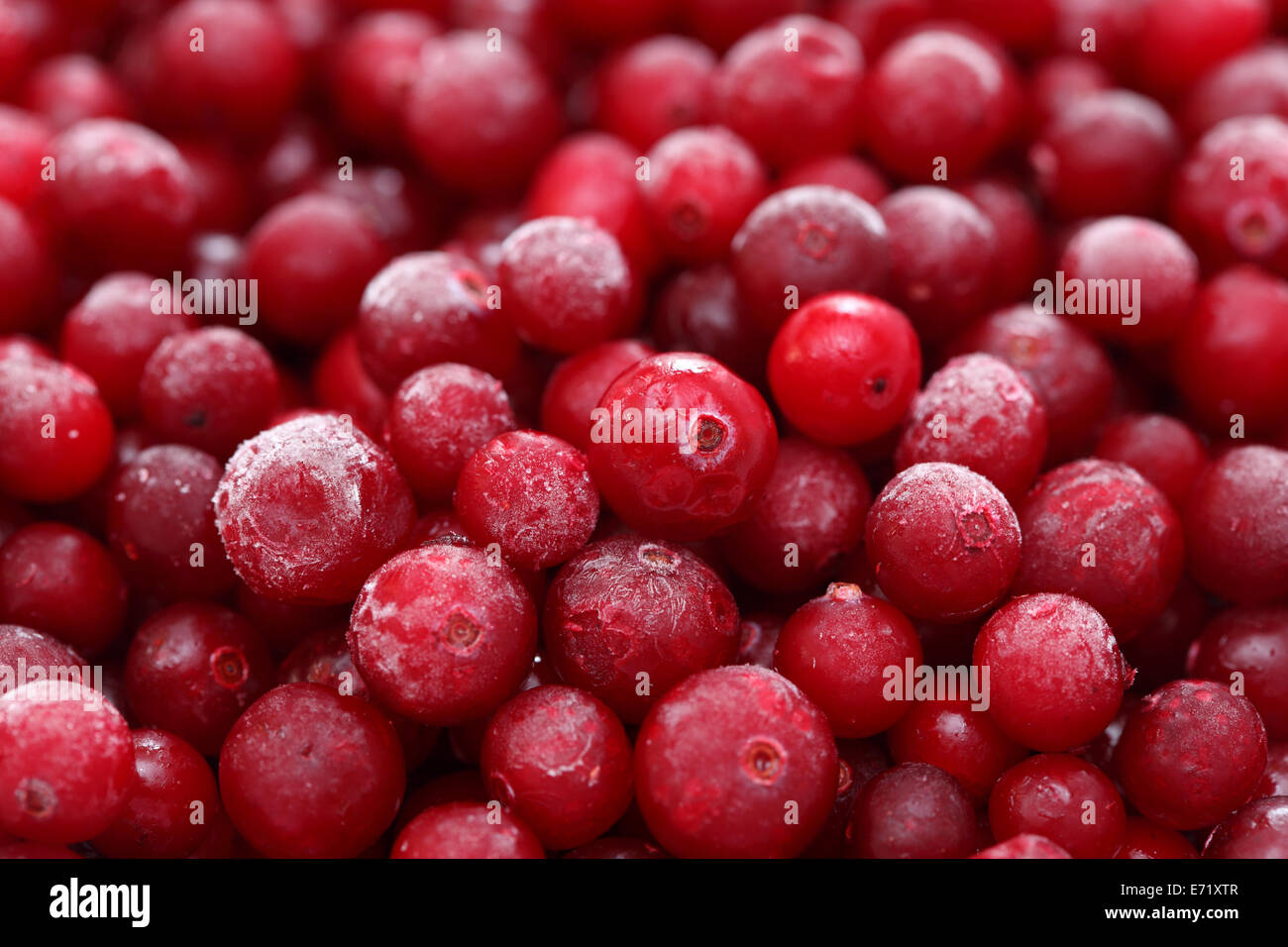 Cranberry Color High Resolution Stock Photography and Images - Alamy