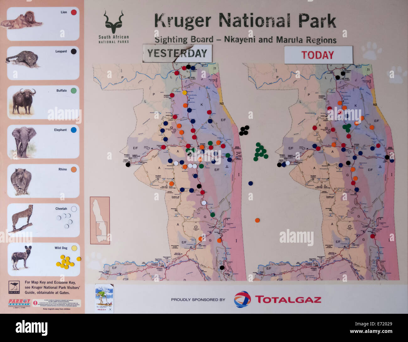 Sighting board in the Satara Camp, Kruger National Park, South Africa ...