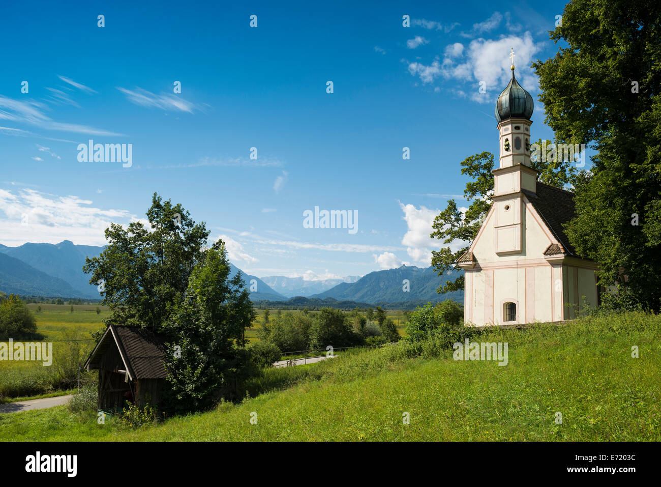 Meadow with moos hi-res stock photography and images - Alamy
