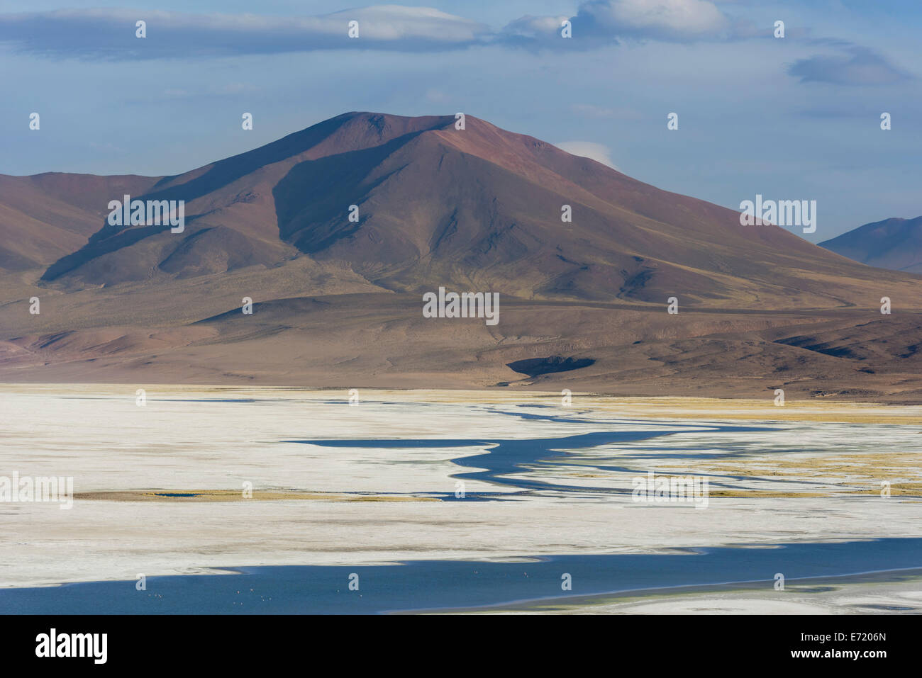 Salt lake Salar del Huasco, Pica, Tarapacá Region, Chile Stock Photo ...