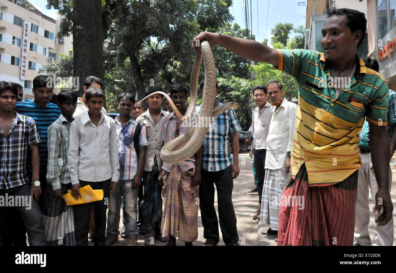 Snake charmer bangladesh hi-res stock photography and images - Alamy
