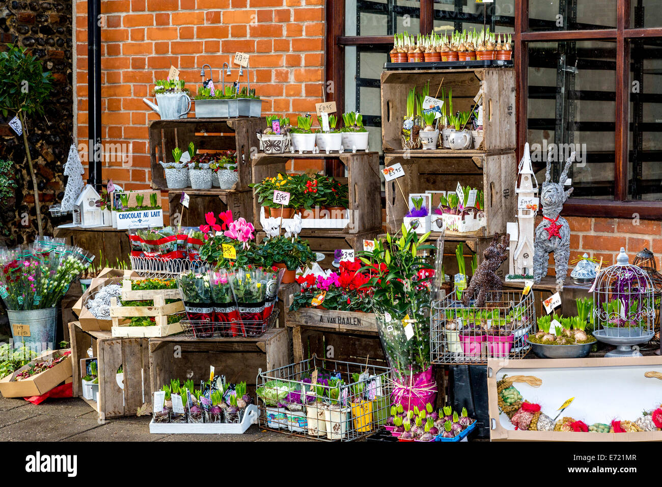 Florists display on a street in Norfolk, UK Stock Photo - Alamy