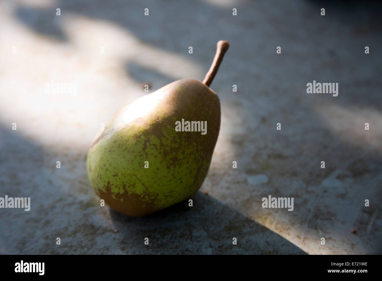 Conference pear harvest hi-res stock photography and images - Alamy