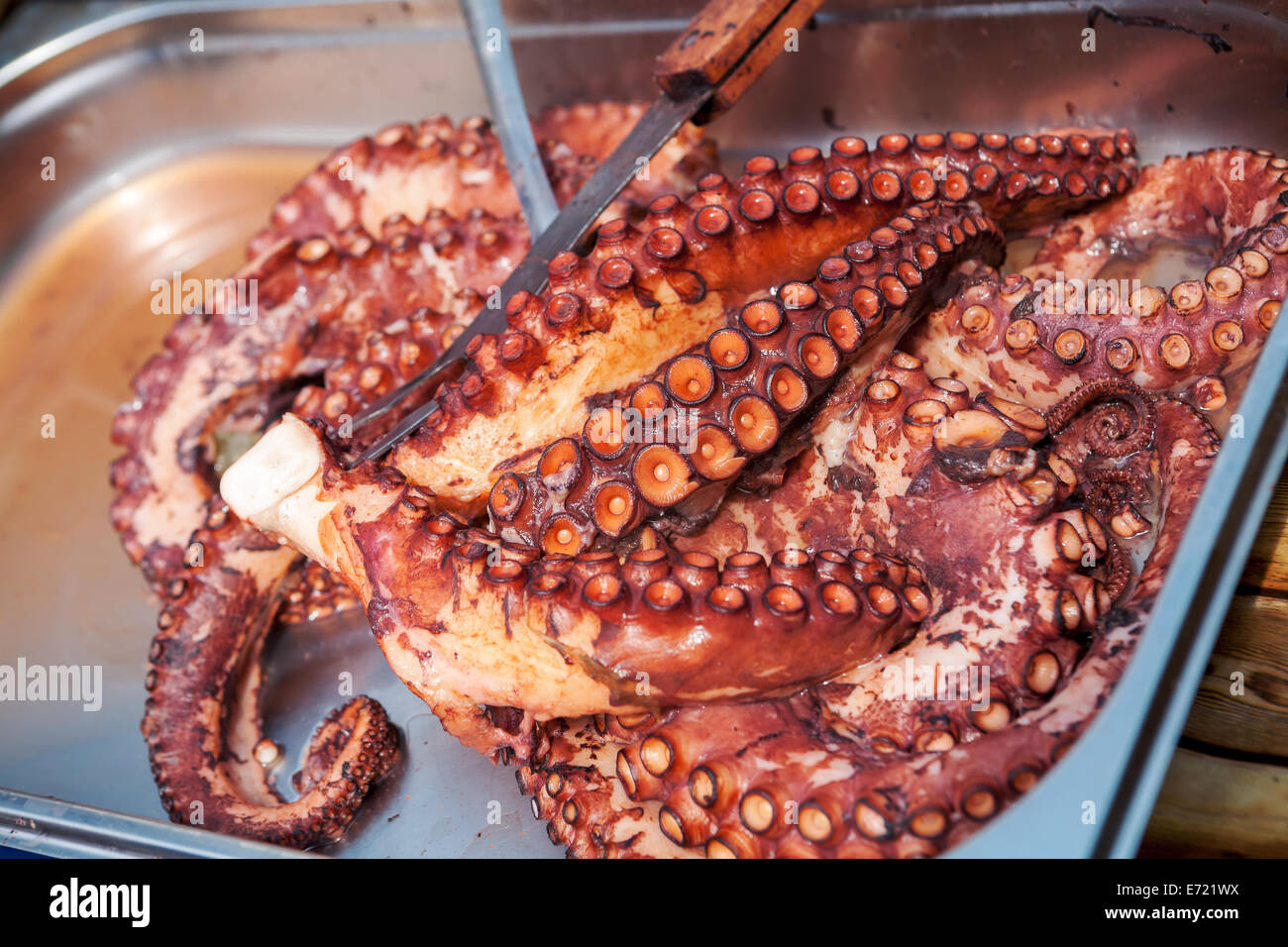 Octopus tentacle hi-res stock photography and images - Alamy