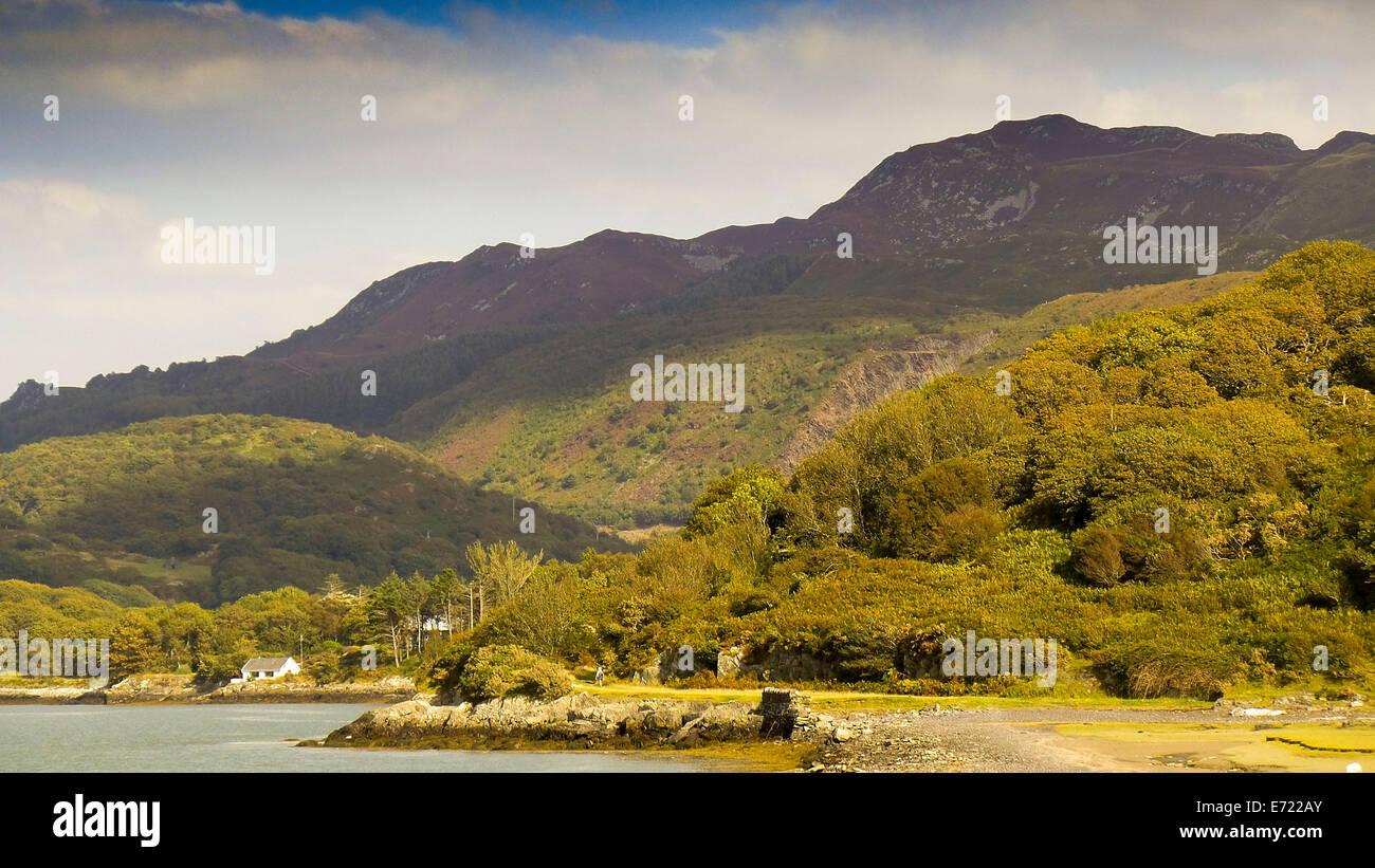 mawddach trail estuary of the afon mawddach gwynedd north wales Stock ...