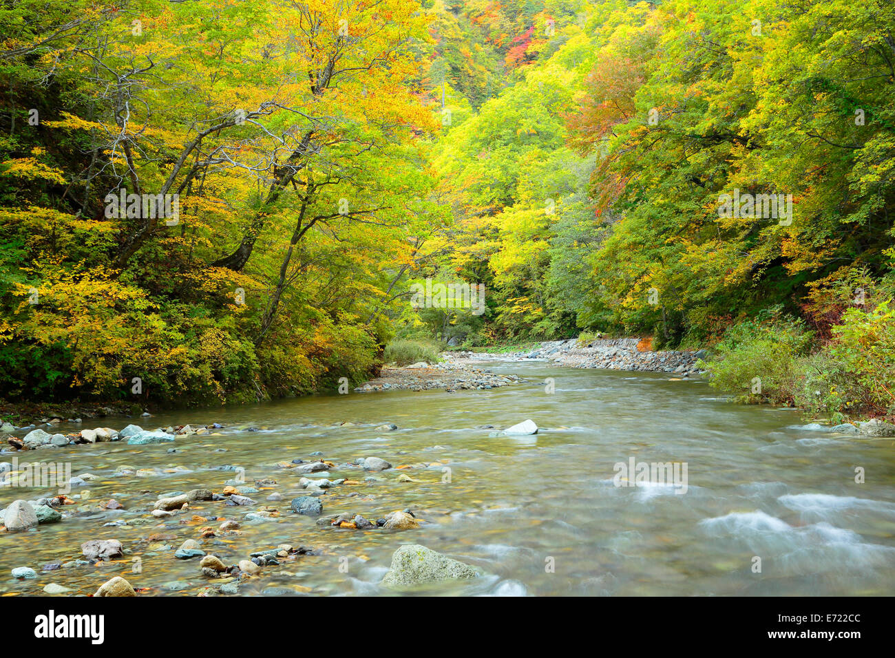 Japan world heritage shirakami hi-res stock photography and images - Alamy