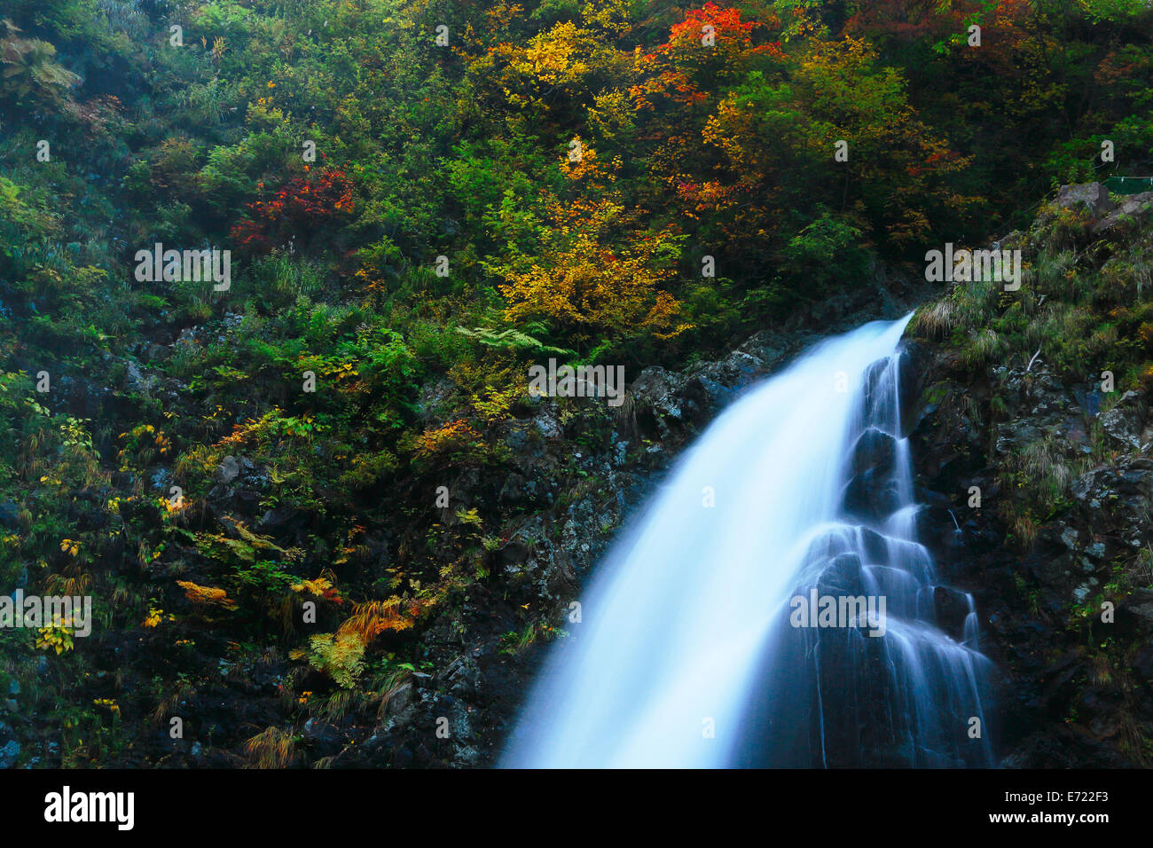 Anmon no taki in Shirakami- Sanchi (world heritage Stock Photo - Alamy