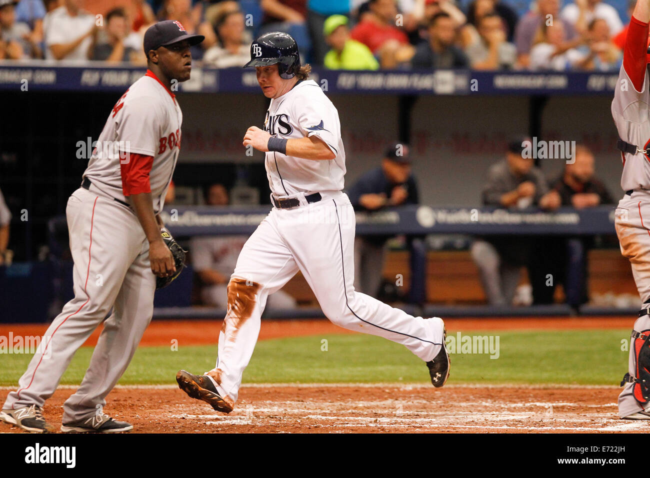 Aug 30, 2014 - St. Petersburg, Florida, U.S. - Ryan Hanigan #24 of the ...