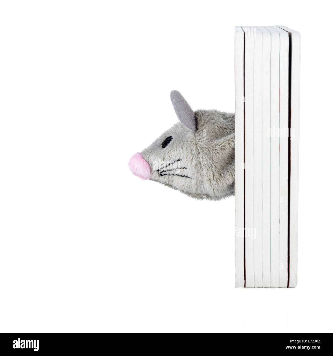 Isolated mouse head on hi-res stock photography and images - Alamy
