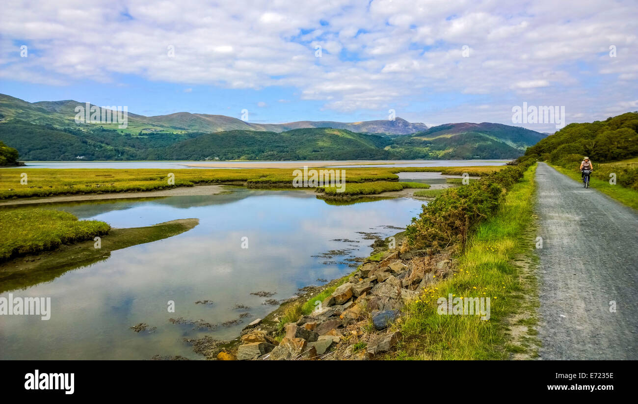 mawddach trail estuary of the afon mawddach gwynedd north wales Stock ...