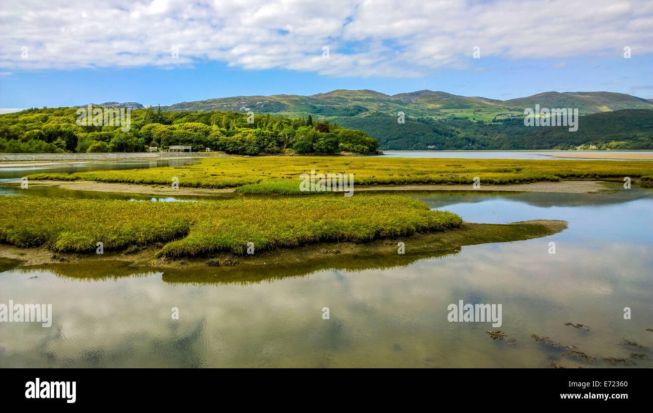 mawddach trail estuary of the afon mawddach gwynedd north wales Stock ...