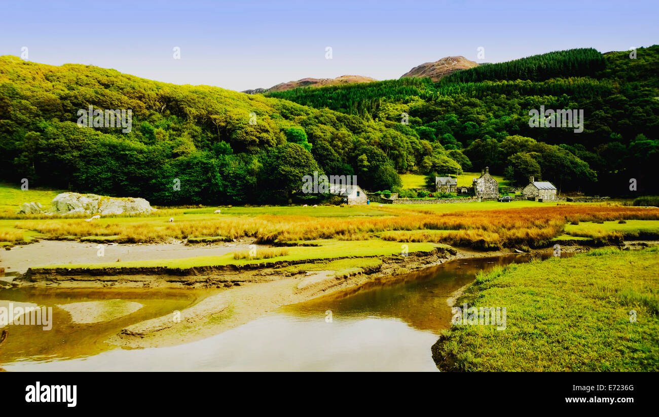 Mawddach trail hi-res stock photography and images - Alamy