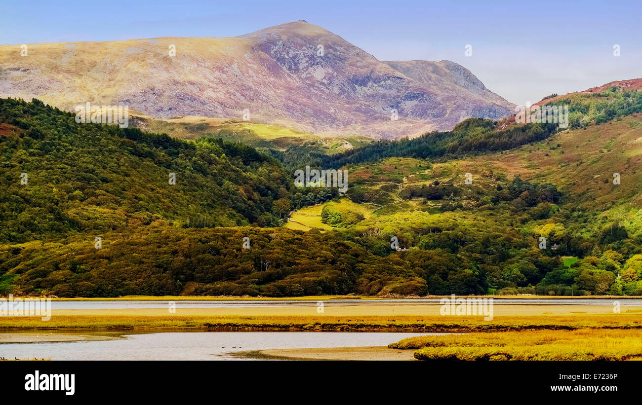 mawddach trail estuary of the afon mawddach gwynedd north wales Stock ...