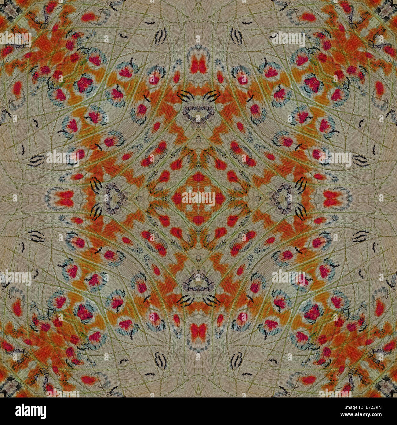 Seamless pattern made from butterfly wing texture background Stock ...