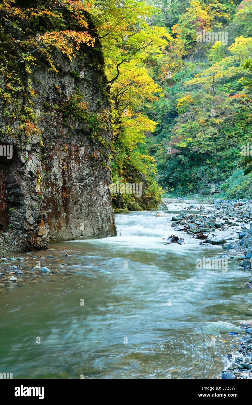 Anmon River, Shirakami Sanchi, Japan Stock Photo - Alamy