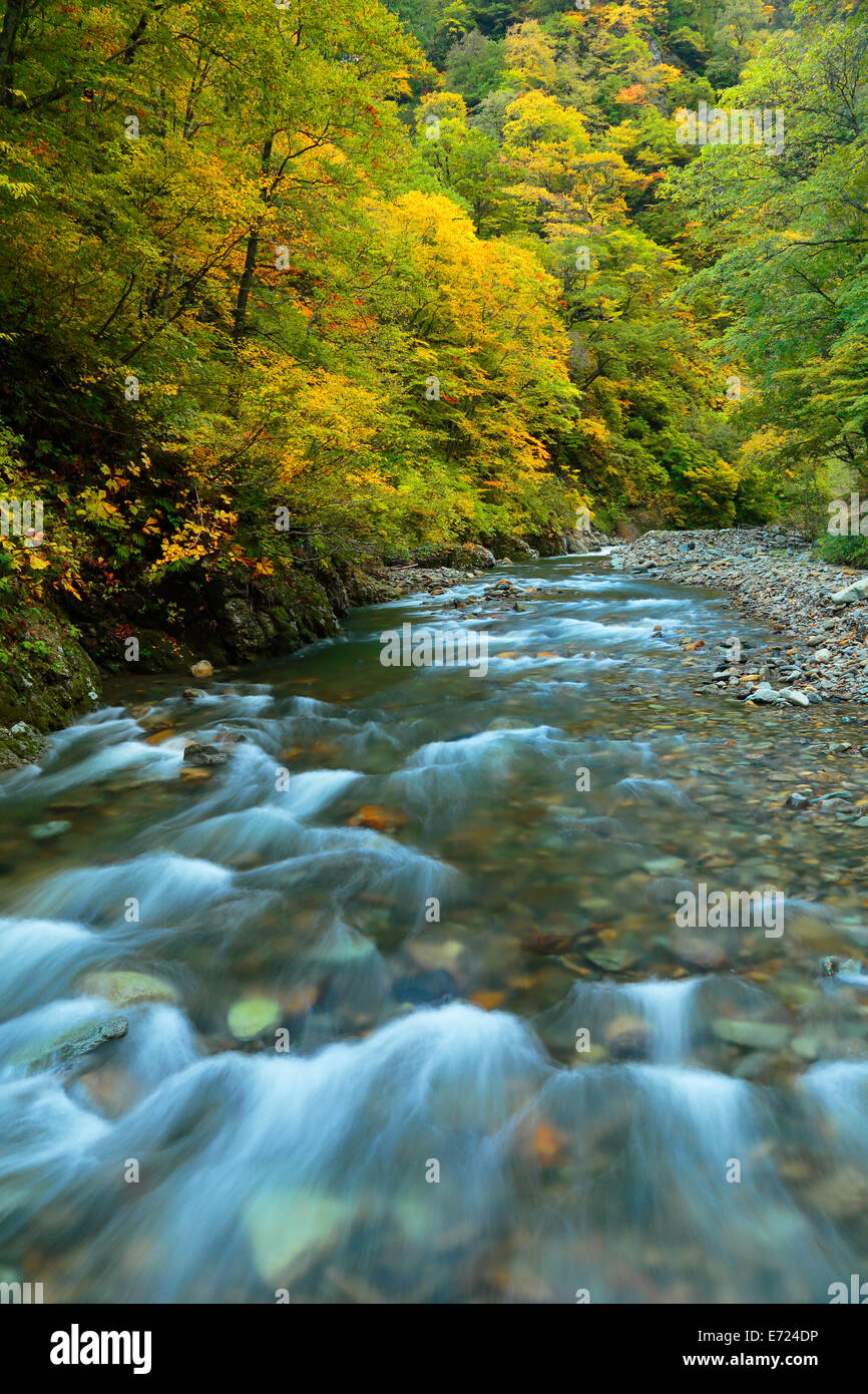 Anmon River, Shirakami Sanchi, Japan Stock Photo - Alamy
