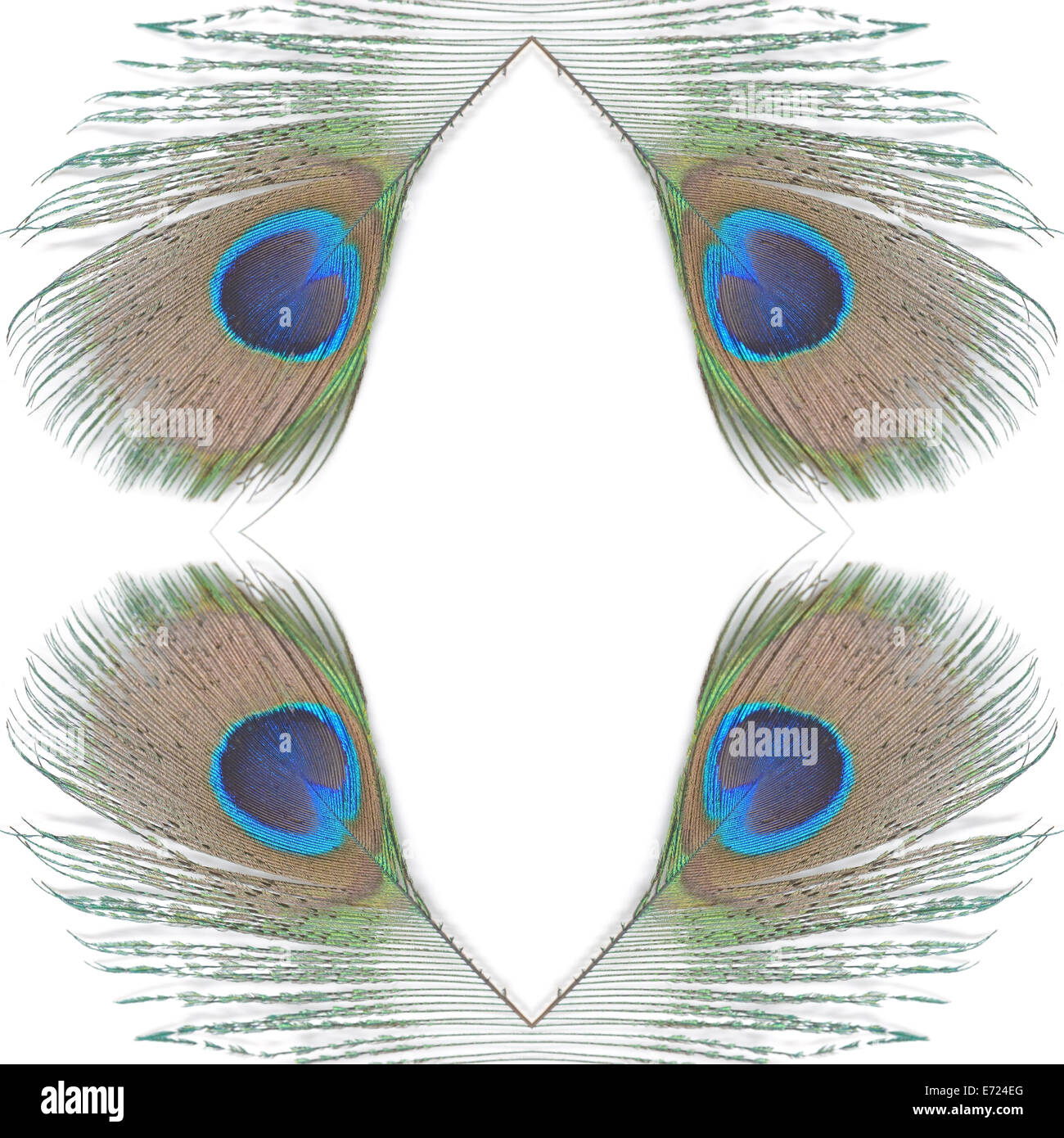 Seamless pattern made from green Peacock feathers texture background ...