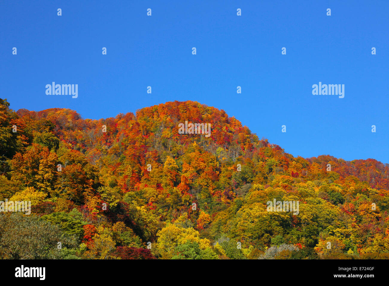 Blue Sky and Autumn Leaves in Towada City, Aomori Prefecture Stock ...