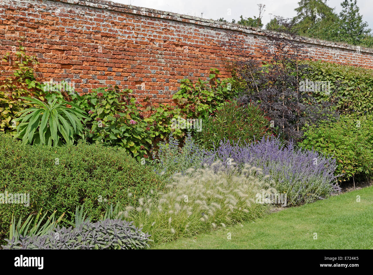 Victorian walled garden in Autumn with vines and perennial plants Stock ...