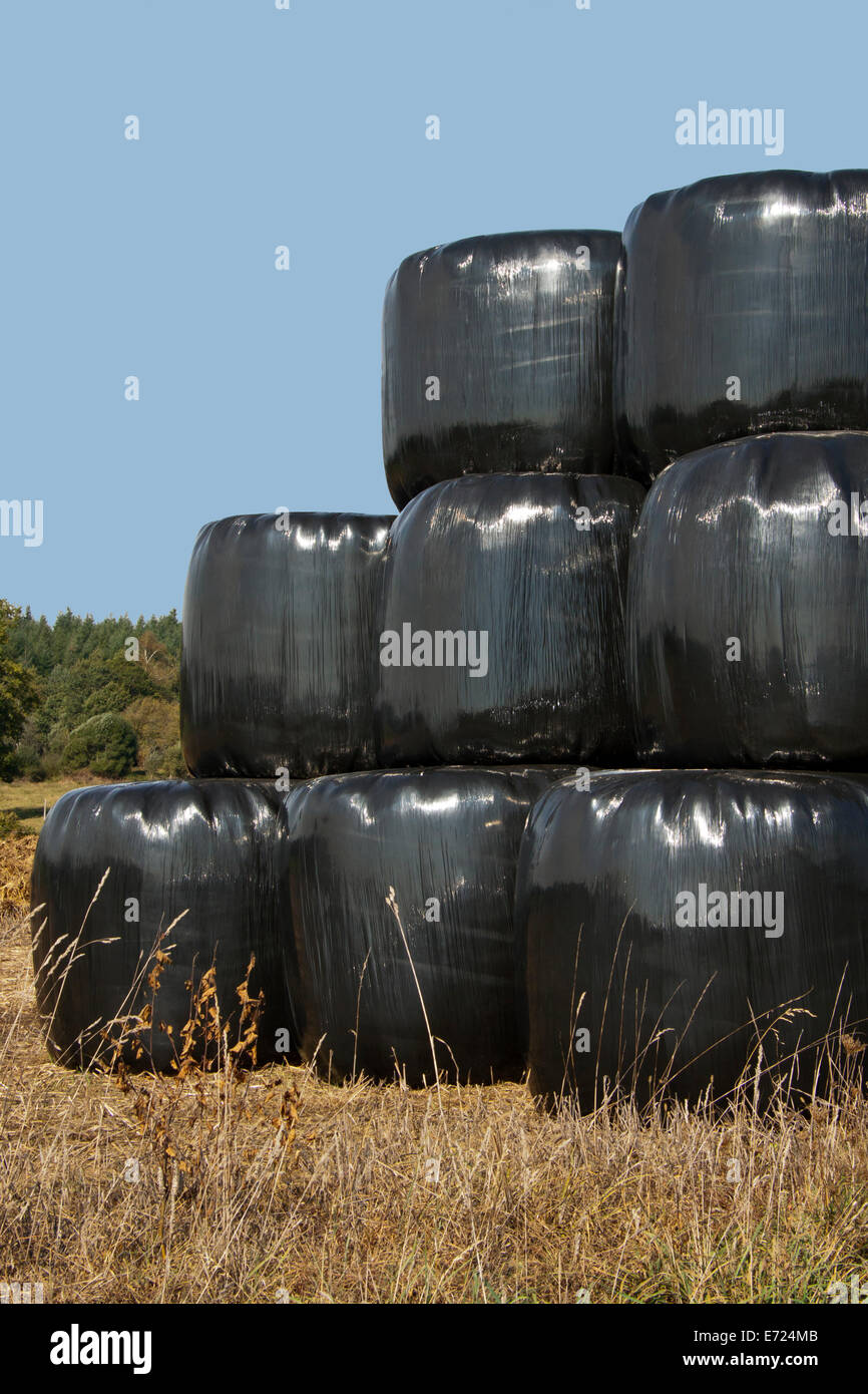 Plastic hay rolls hi-res stock photography and images - Alamy