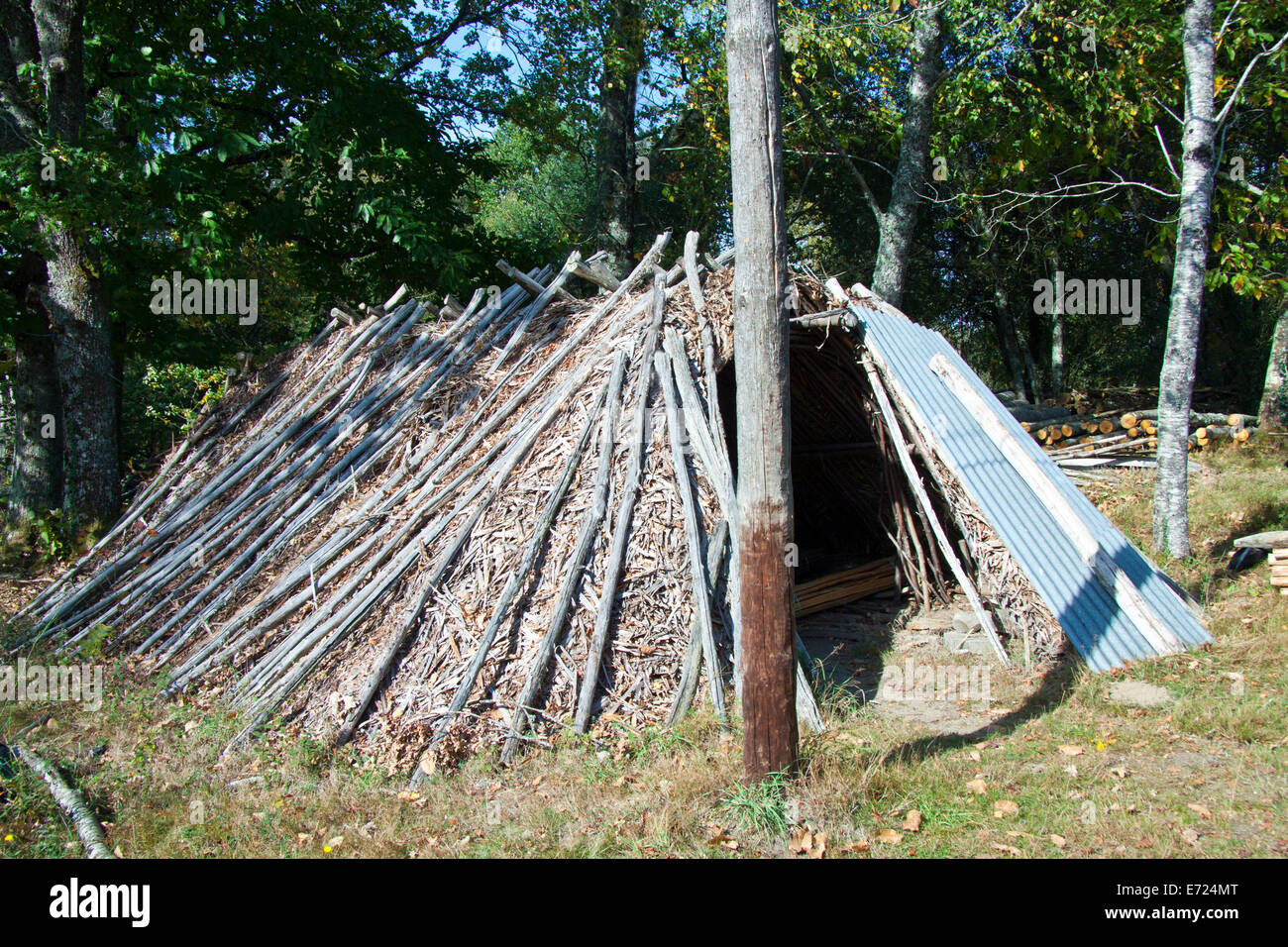 Empty small log cabin hi-res stock photography and images - Alamy