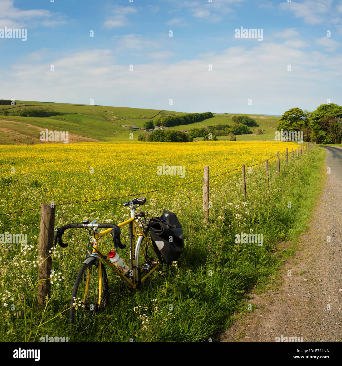 The road to Malham Stock Photo - Alamy