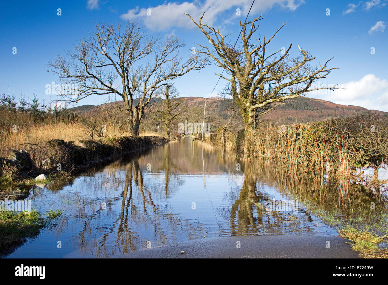 Mersehead rspb reserve hi-res stock photography and images - Alamy