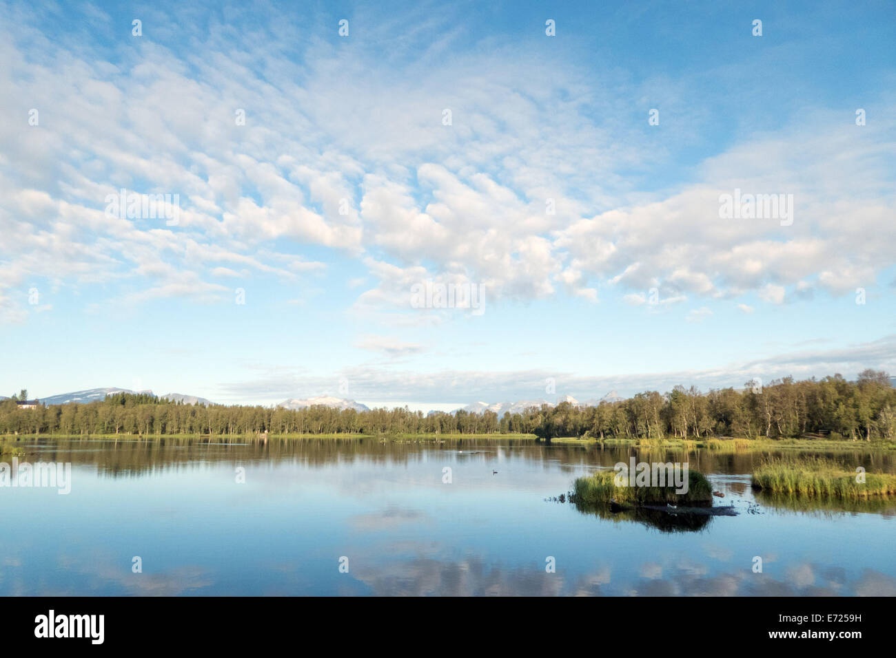 calm morning at lake Prestvannet Stock Photo - Alamy