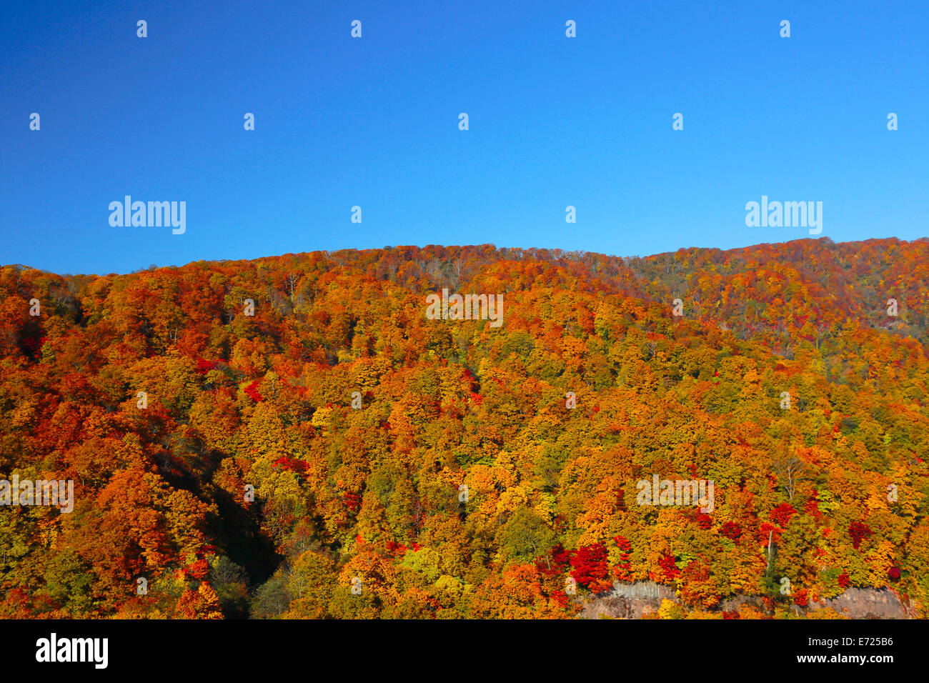 Blue Sky and Autumn Leaves in Towada City, Aomori Prefecture Stock ...