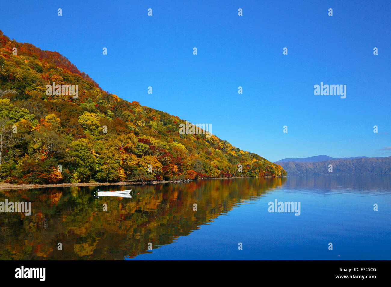 Autumn leaves the Lake Towada Stock Photo - Alamy