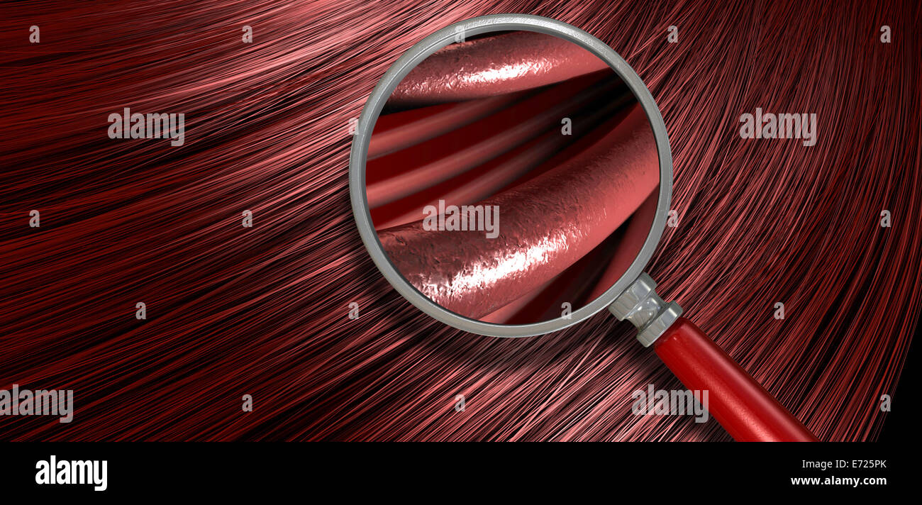 Healthy hair magnified hi-res stock photography and images - Alamy