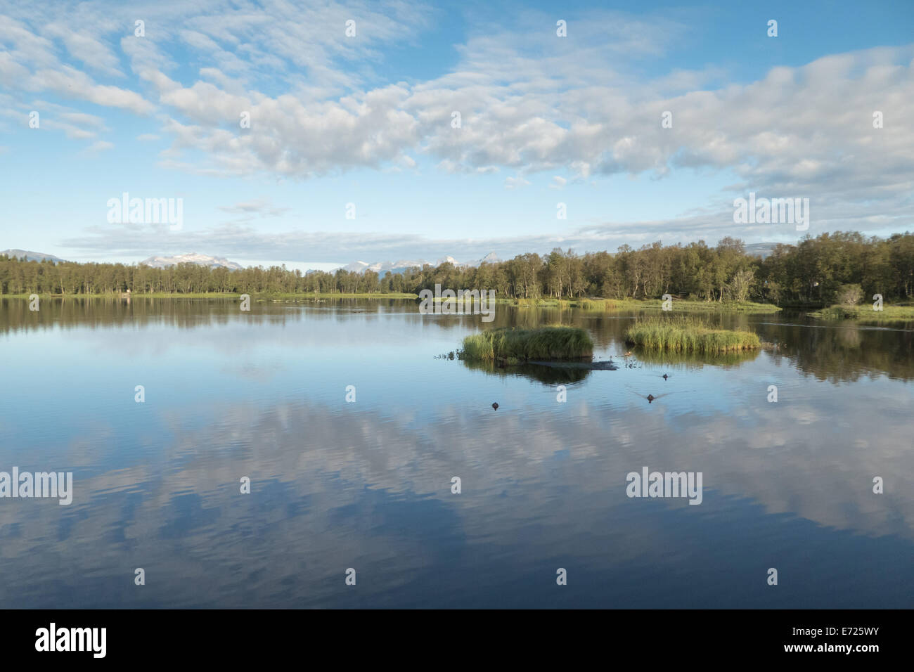 calm morning at lake Prestvannet Stock Photo - Alamy