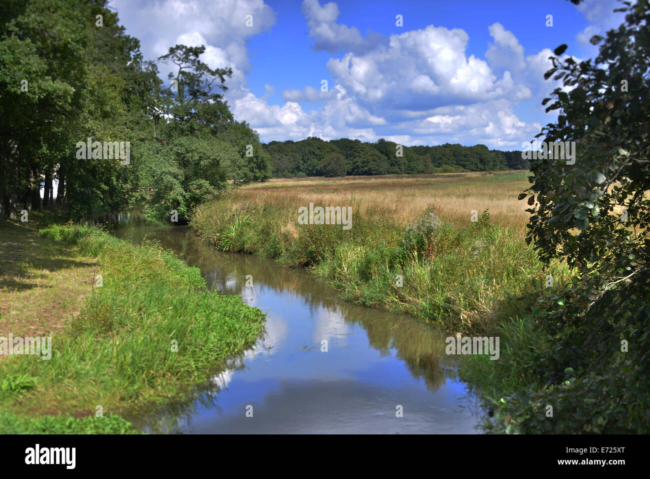 The landscape in the province Drenthe is a patchwork of heath, moor and ...