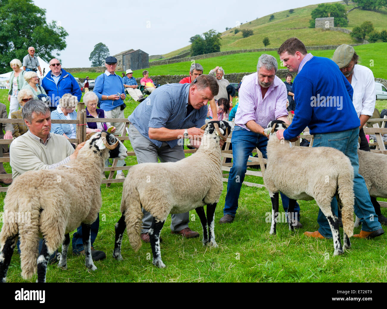 Swaledale sheep hi-res stock photography and images - Alamy