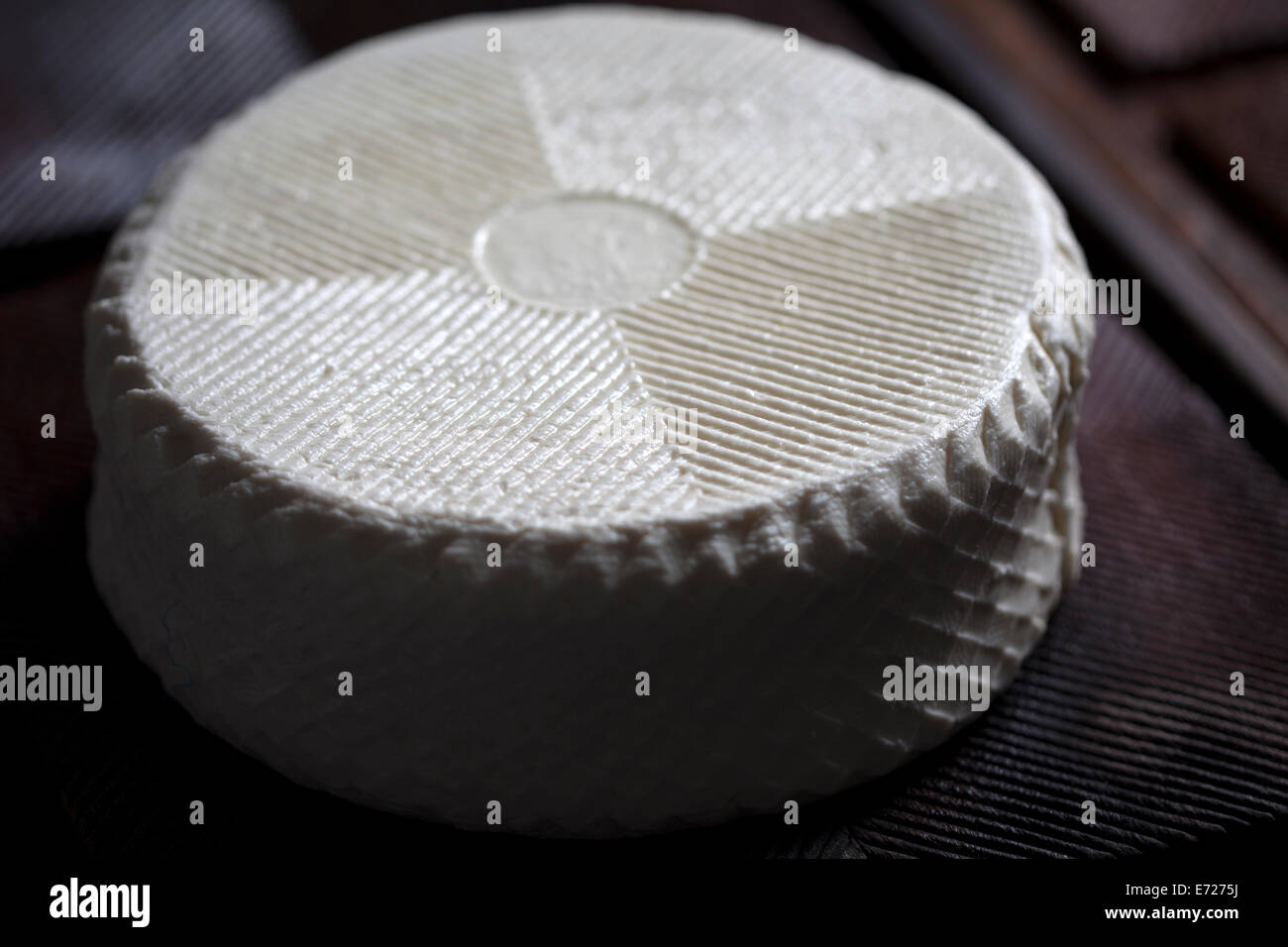 Pecorino cheese in Quesos Oliva artisanal cheese making workshop in ...