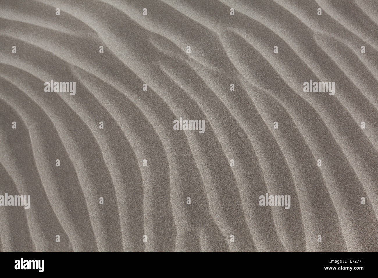 Detail of a sand dune Stock Photo - Alamy