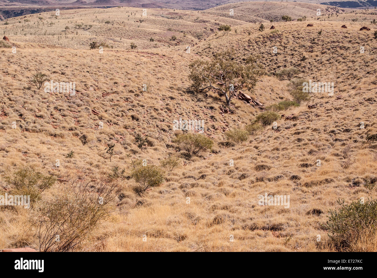 Pilbara desert aboriginal hi-res stock photography and images - Alamy