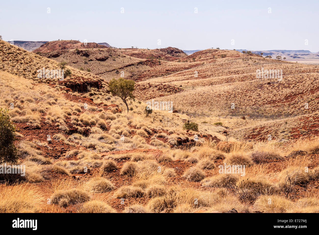 MILLSTREAM CHICHESTER NATIONAL PARK, PILBARA REGION, NORTH WEST ...