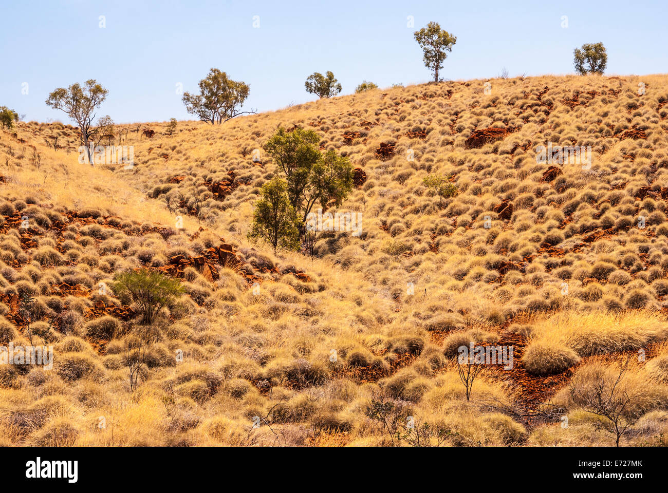 Pilbara desert aboriginal hi-res stock photography and images - Alamy