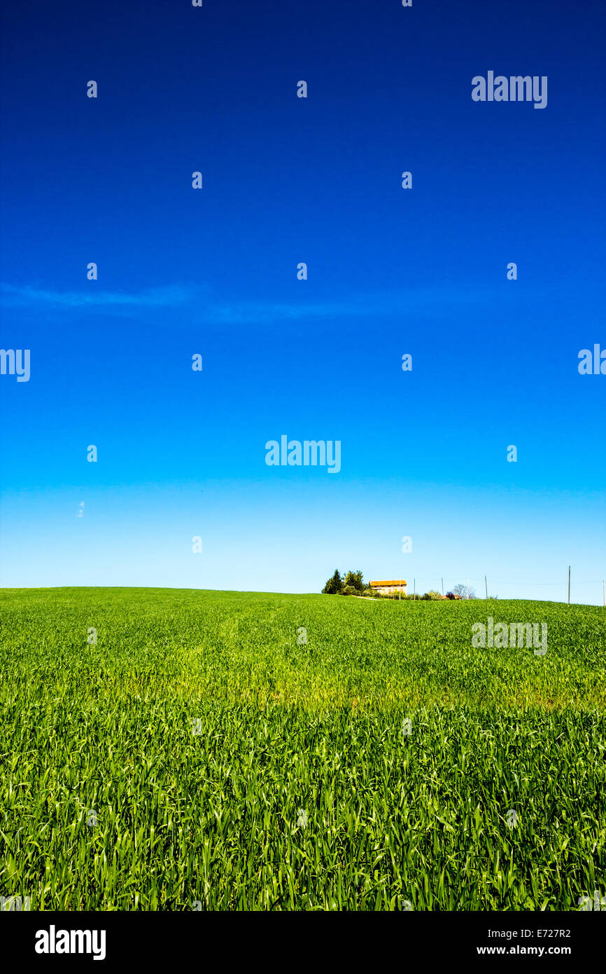 a sunny summer morning in the italian countryside Stock Photo - Alamy