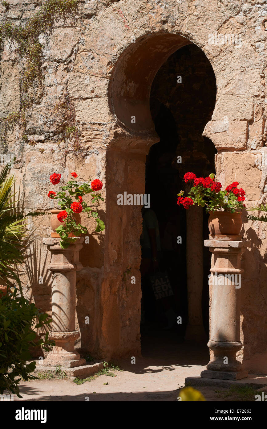 Palma de Mallorca, Arab baths, Palma, Majorca, Balearic Islands, Spain ...