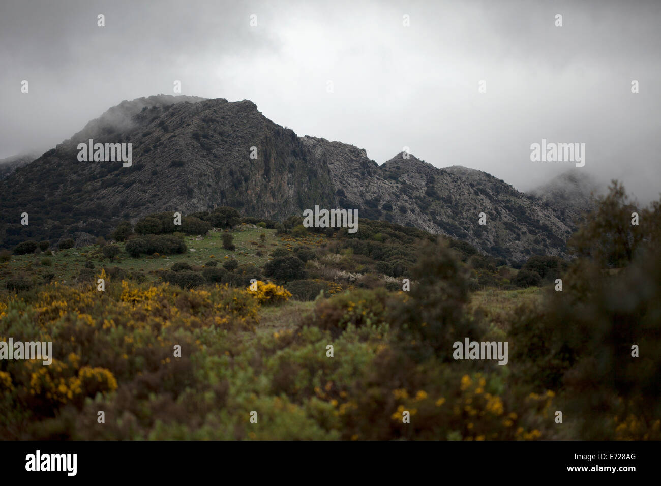 Mountains in Villaluenga del Rosario, Sierra de Grazalema Natural Park ...